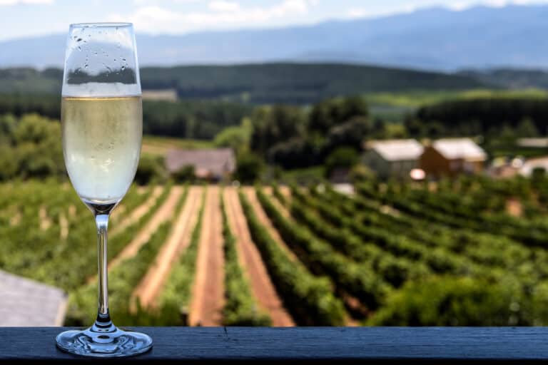 What Is Cava Wine: All You Need To Know | DineWithDrinks