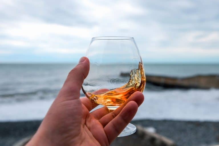 What Liquor Gets You Drunk the Fastest? (Top 10 Options) | DineWithDrinks