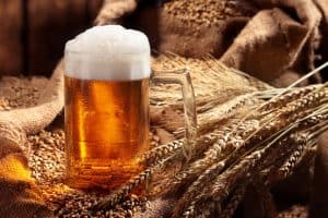 What Is a Malt Beverage? (Explained in Detail) | DineWithDrinks