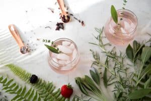 What Is a Botanical Drink? All You Need To Know | DineWithDrinks