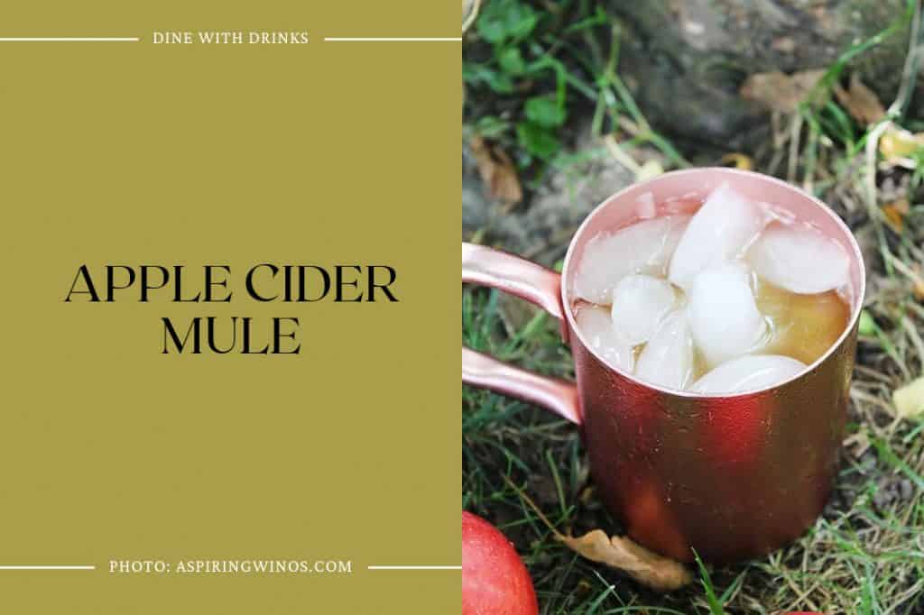24 Fall Rum Cocktails That Will Warm Your Soul | DineWithDrinks
