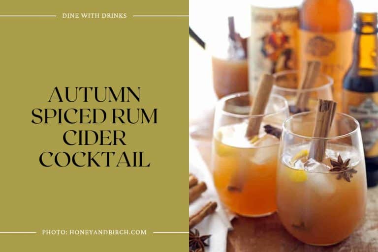 28 Fall Apple Cider Cocktails to Spice Up Your Season! | DineWithDrinks