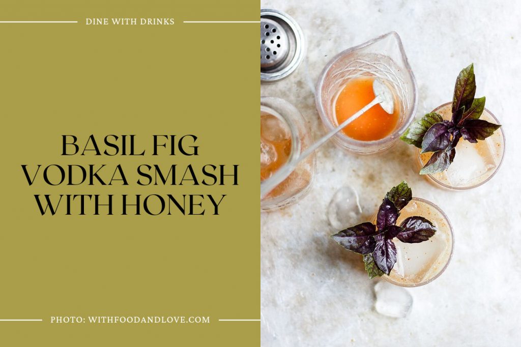 12 Fig Vodka Cocktails That Will Sweep You Off Your Feet | DineWithDrinks