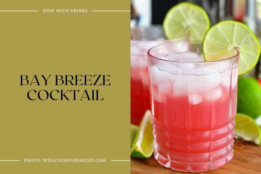 29 Tropical Vodka Cocktails to Transport You to Paradise | DineWithDrinks