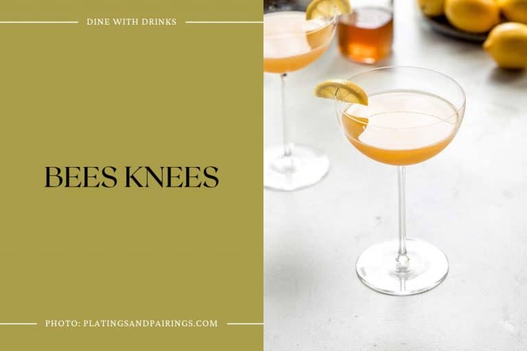 21 Simple Gin Cocktails to Shake (or Stir) Up Your Night! | DineWithDrinks