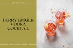 28 Ginger Vodka Cocktails That Will Spice Up Your Life! | DineWithDrinks
