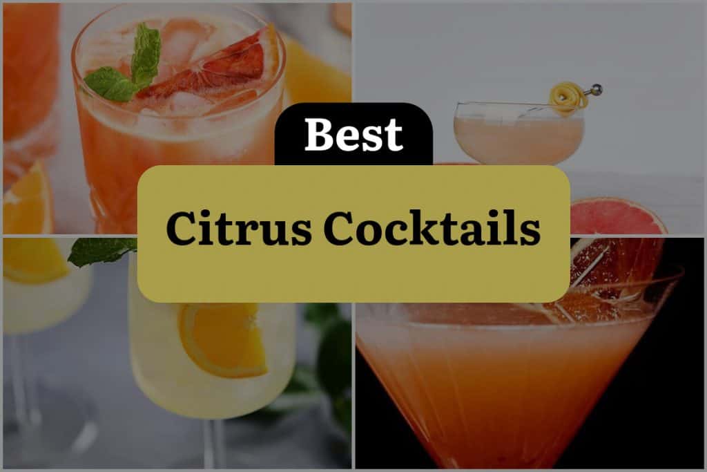 34 Citrus Cocktails to Sip and Savor All Summer Long | DineWithDrinks