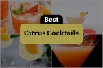 34 Citrus Cocktails to Sip and Savor All Summer Long | DineWithDrinks