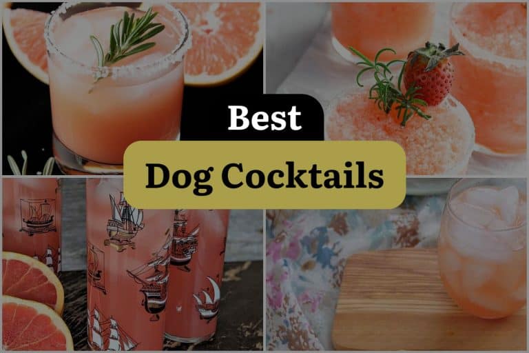16 Dog Cocktails: Mixology for Man's Best Friend! | DineWithDrinks
