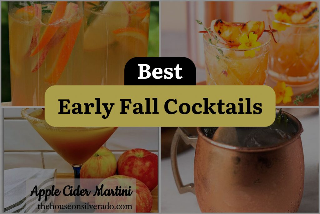 7 Stoli Cocktails That Will Shake Up Your Next Party! | DineWithDrinks