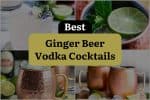 28 Ginger Beer Vodka Cocktails to Spice Up Your Life! | DineWithDrinks
