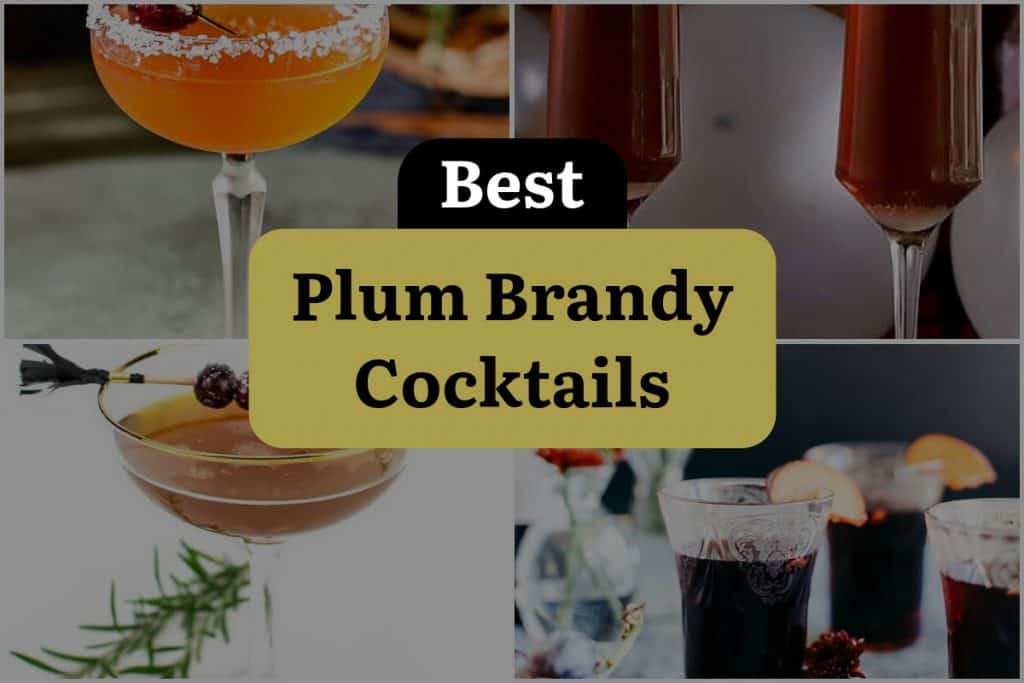 5 Plum Brandy Cocktails That Will Rock Your World! | DineWithDrinks