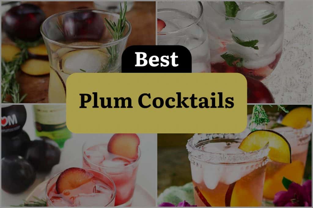 23 Plum Cocktails That Will Have You Feeling Extra Juicy! | DineWithDrinks