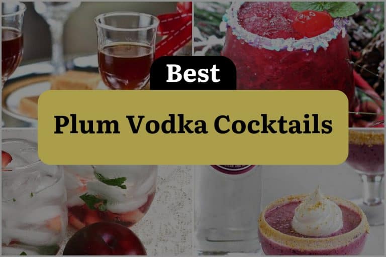 4 Plum Vodka Cocktails You Need to Try This Summer | DineWithDrinks