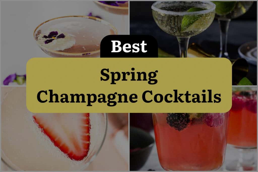 29 Spring Champagne Cocktails to Make Your Spring Fling! | DineWithDrinks