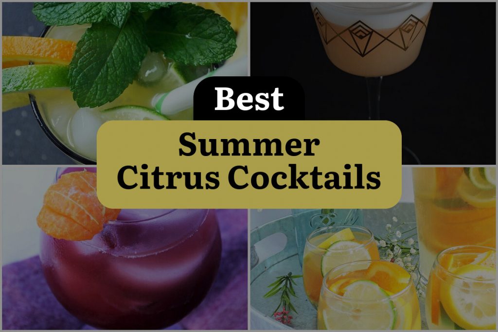 29 Summer Citrus Cocktails to Sip on a Sunny Day! | DineWithDrinks