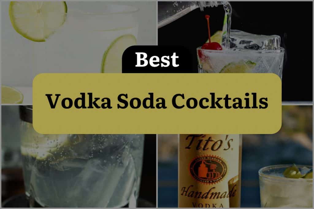 20 Vodka Soda Cocktails to Sip in Style this Summer | DineWithDrinks