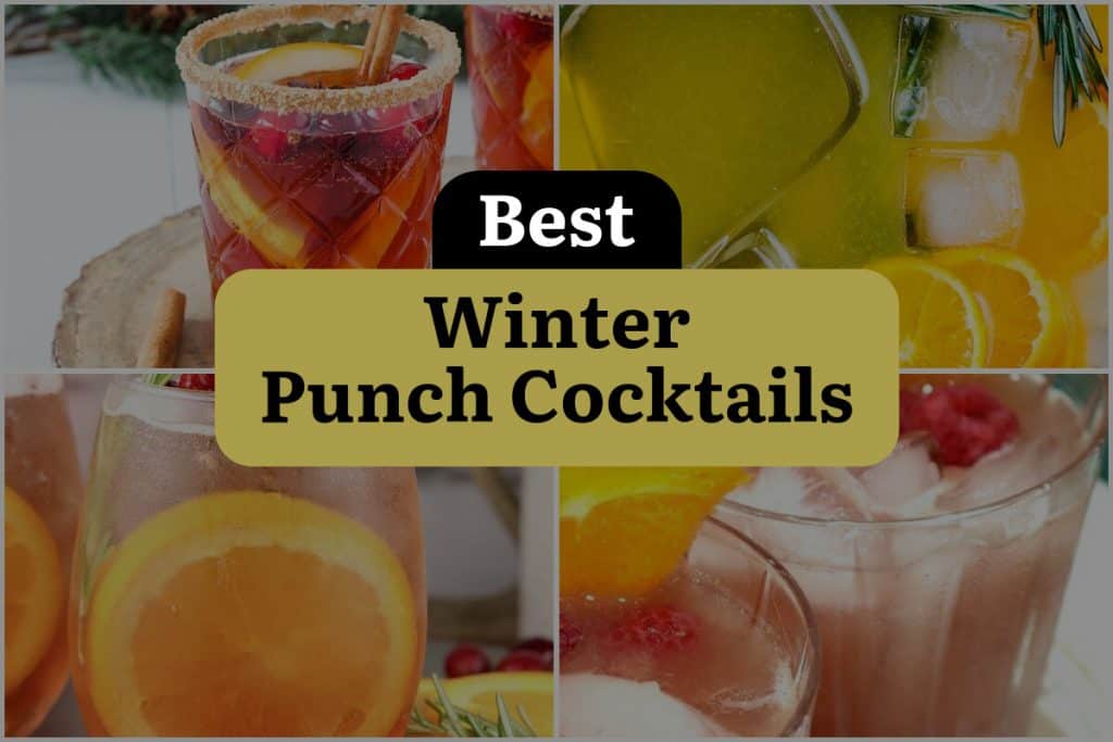 29 Winter Punch Cocktails to Warm Up Your Soul | DineWithDrinks
