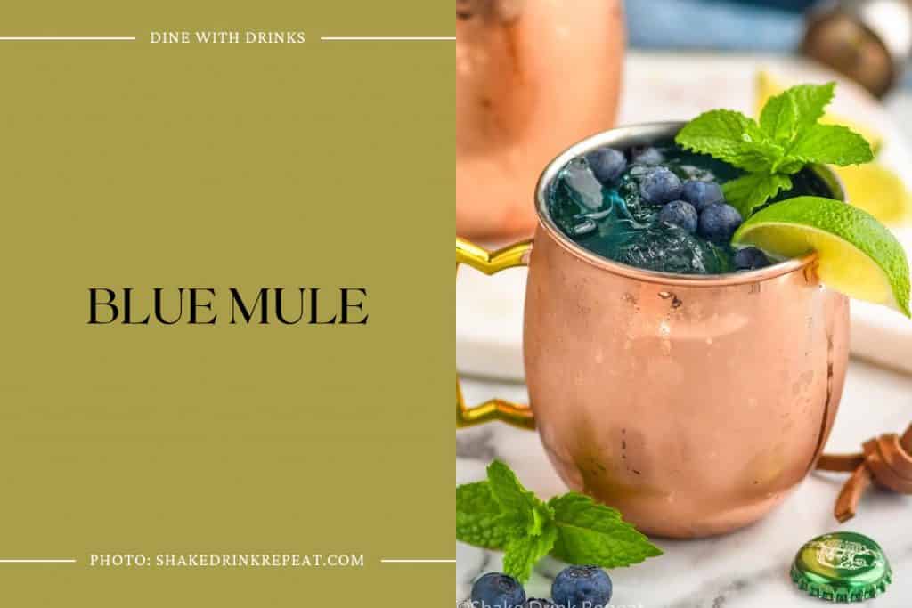 14 Blue Winter Cocktails to Keep Your Spirits Bright! | DineWithDrinks