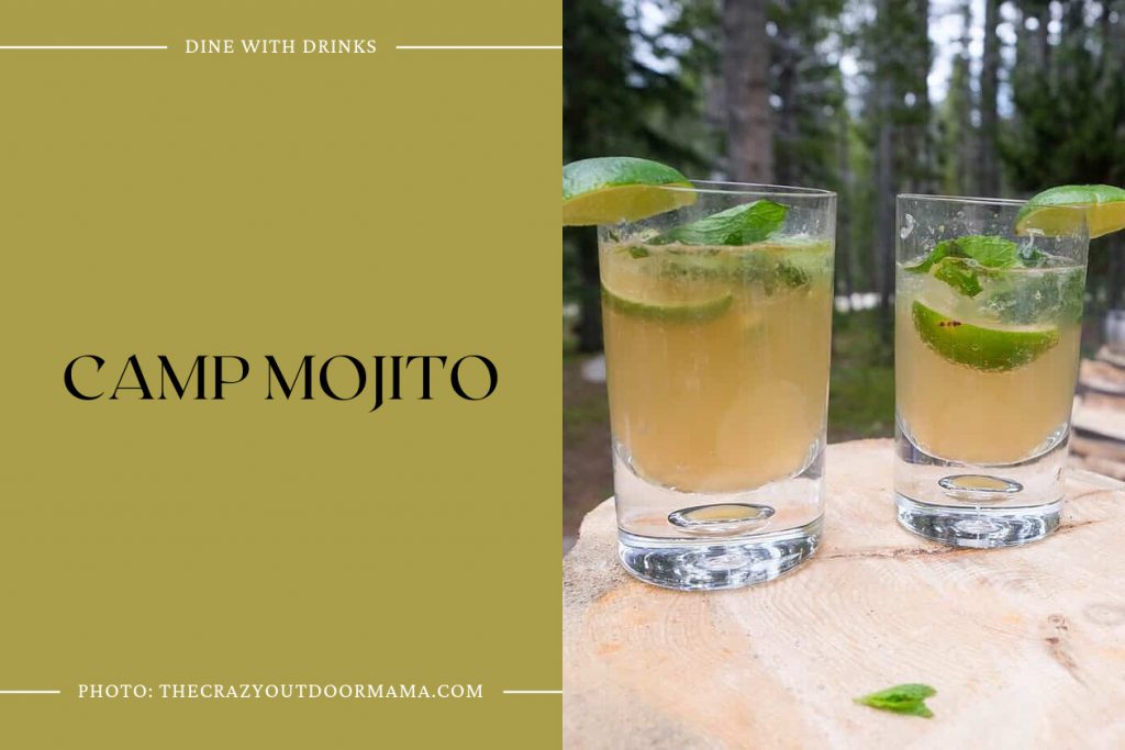 12 Camping Cocktails That Will Make Your Trip a Happy Hour | DineWithDrinks