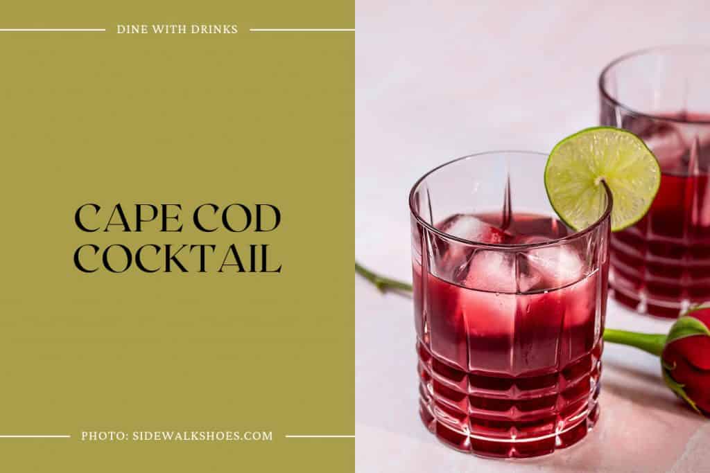 31 Vodka and Juice Cocktails to Get Your Fruity Fix! | DineWithDrinks