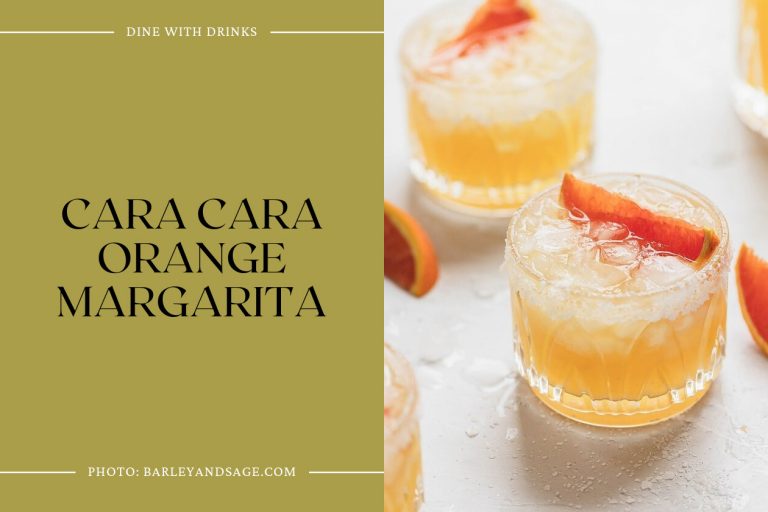25 Salt Rimmed Cocktails That Will Shake Up Your World! | DineWithDrinks