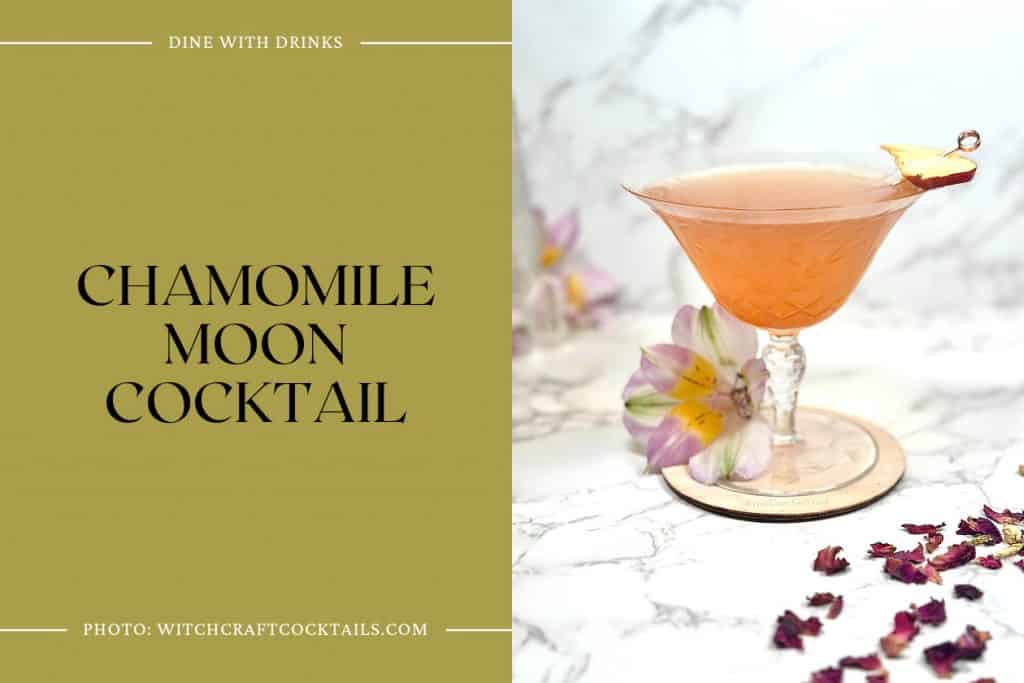 9 Moon Cocktails to Raise Your Spirits to New Heights | DineWithDrinks