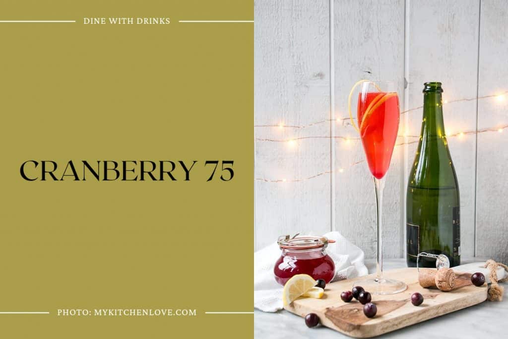 19 Champagne Cranberry Cocktails to Sip Your Fruity Fizz Fix ...