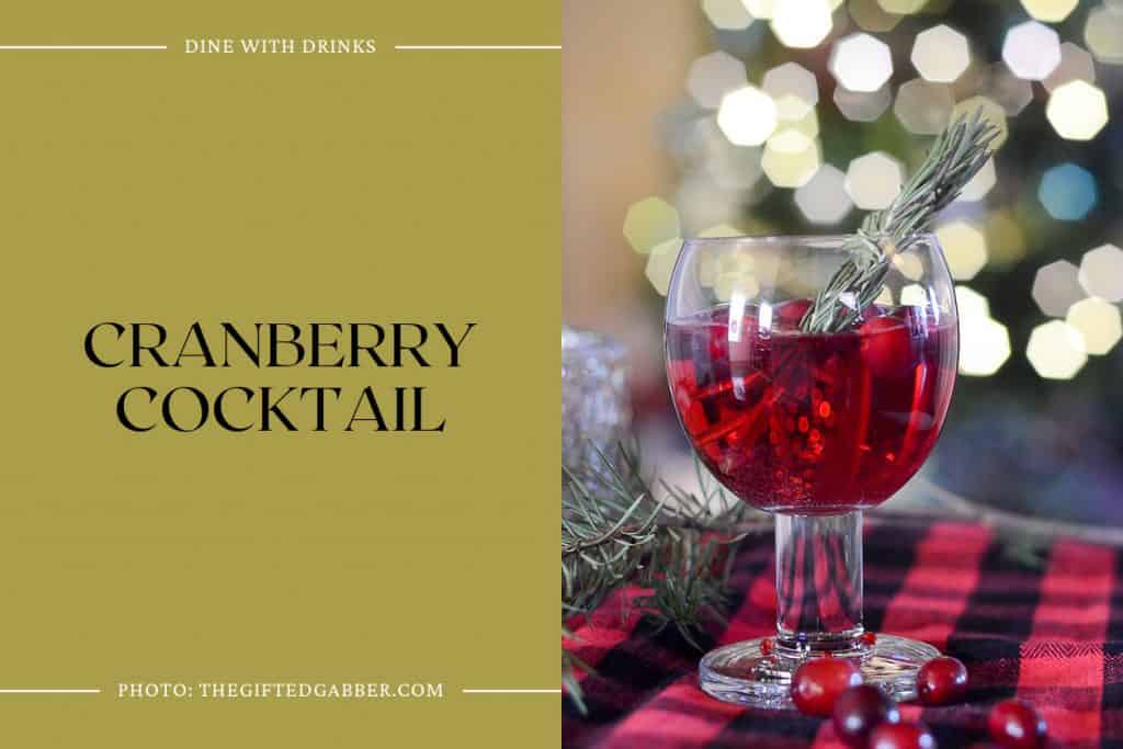 32 Vodka and Cranberry Cocktails to Shake Up Your Nightlife ...