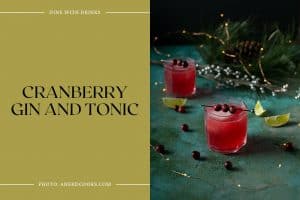 22 Cranberry Gin Cocktails To Shake Up Your Holiday Season | DineWithDrinks