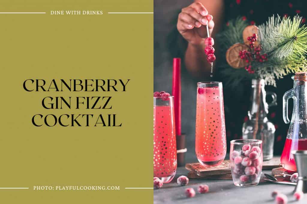 22 Cranberry Gin Cocktails To Shake Up Your Holiday Season | DineWithDrinks