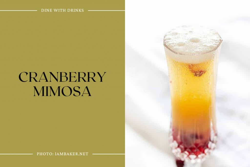 35 Cranberry Syrup Cocktails to Shake Up Your Senses! | DineWithDrinks