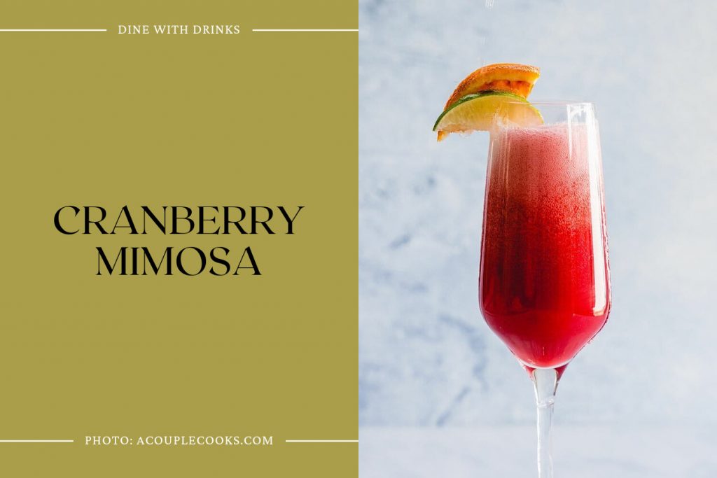 36 Cranberry Fall Cocktails to Sip and Savor All Season Long ...