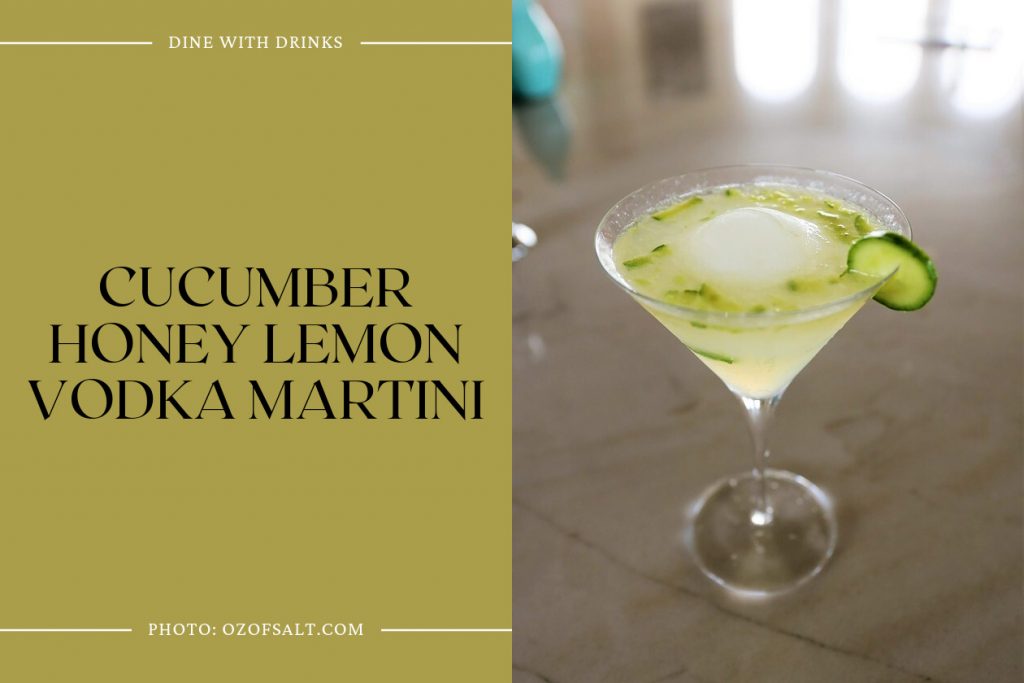 26 Cucumber Vodka Cocktails to keep you cool this summer! | DineWithDrinks