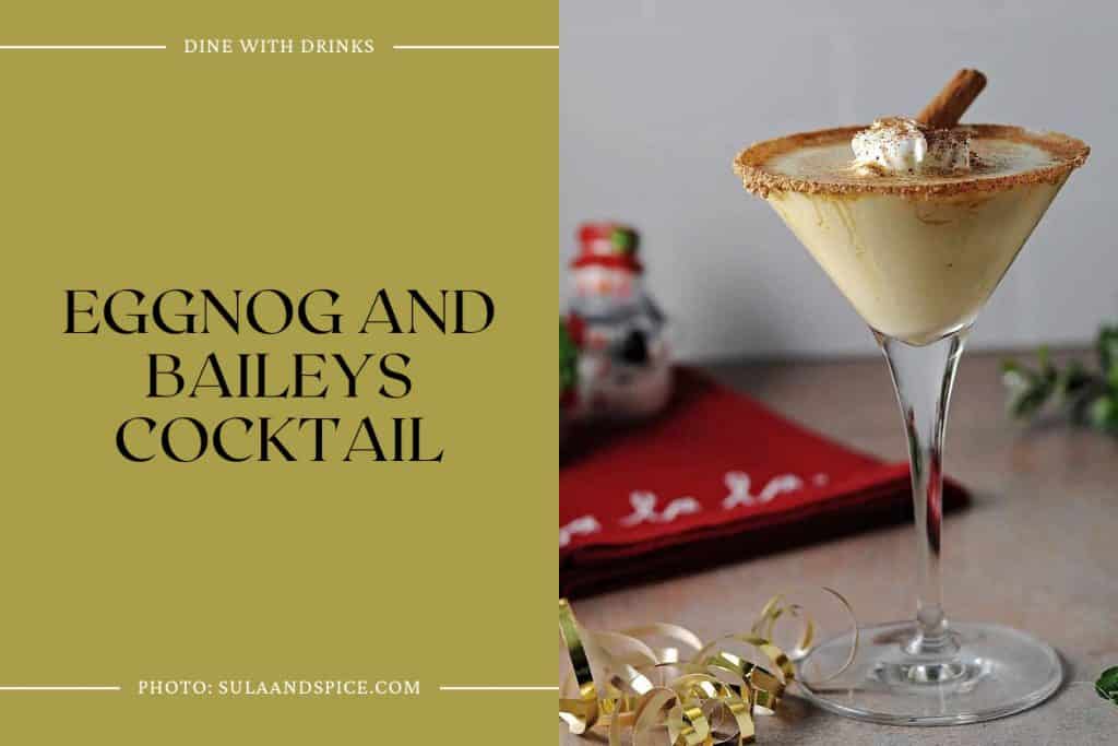 24 Vodka Baileys Cocktails That Will Shake Up Your Night | DineWithDrinks