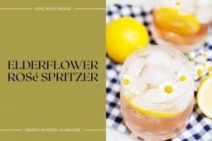 36 Spritzer Cocktails That Will Fizz Up Your Life! | DineWithDrinks