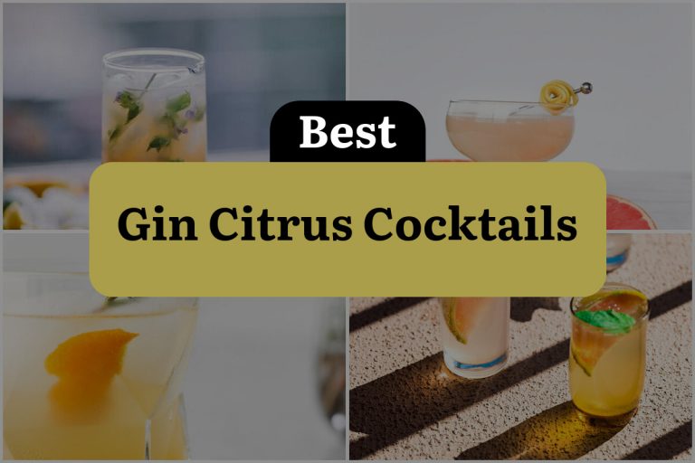 28 Gin Citrus Cocktails to Shake Up Your Summer! | DineWithDrinks