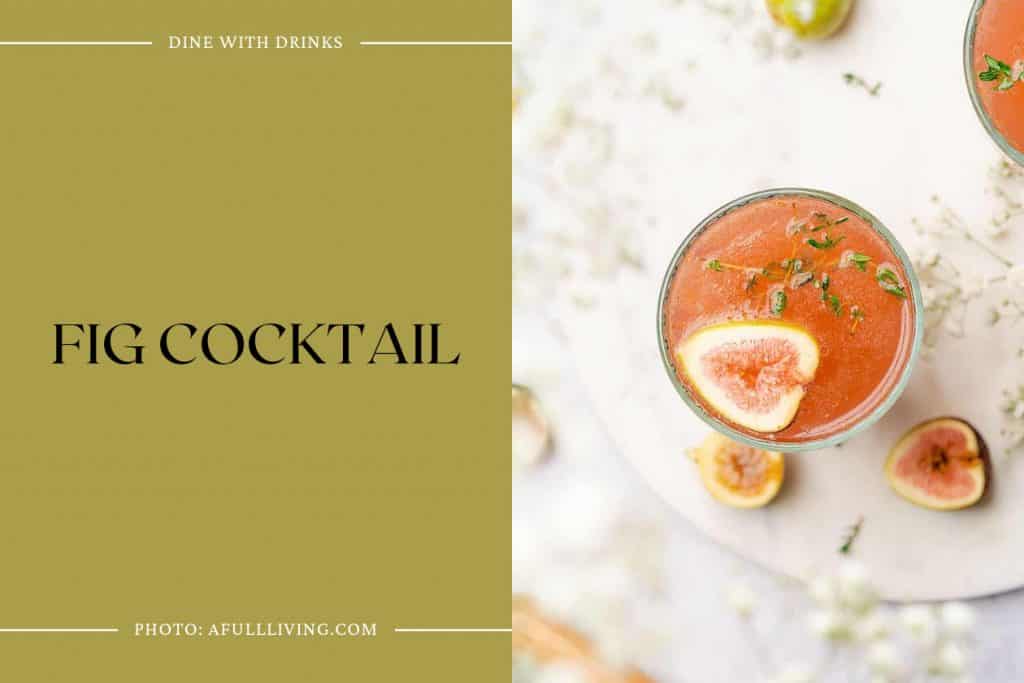 26 Fig Cocktails To Sip and Savor All Year Round | DineWithDrinks