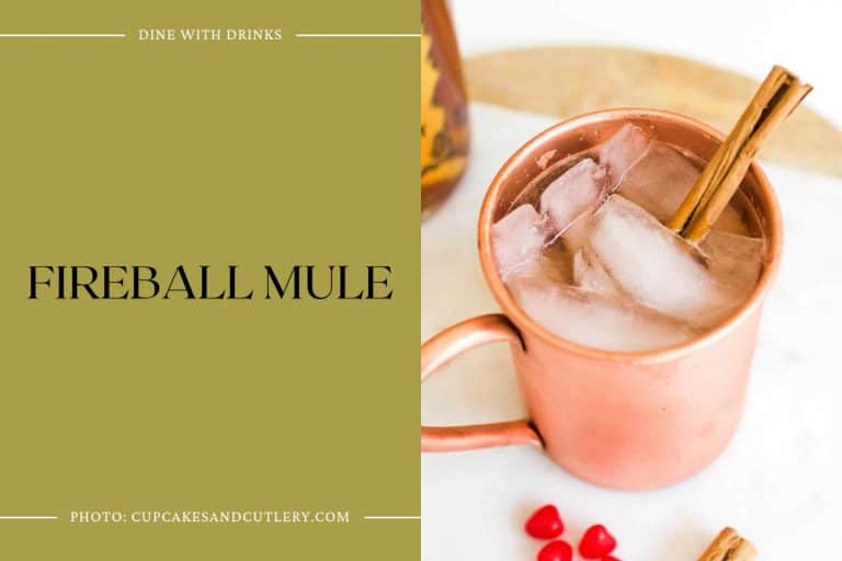 23 Fireball Cocktails That Will Spice Up Your Night! | DineWithDrinks