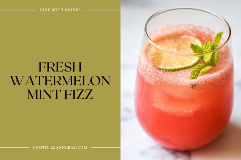 22 Best Watermelon Mint Cocktails | DineWithDrinks