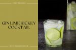 28 Gin Lime Cocktails to Shake Up Your Summer | DineWithDrinks