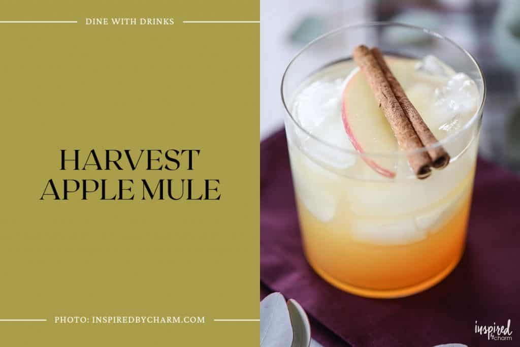 37 Fall Mule Cocktails to Keep Your Spirits High (and Boozy ...