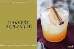 37 Fall Mule Cocktails to Keep Your Spirits High (and Boozy ...