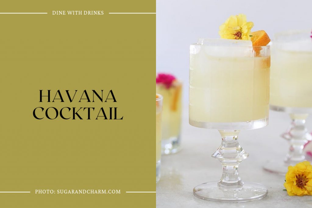 31 Classy Cocktails to Elevate Your Happy Hour Game | DineWithDrinks