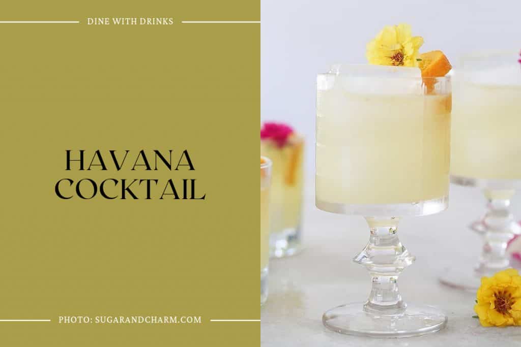 28 Cuban Rum Cocktails That Will Transport You to Havana! | DineWithDrinks