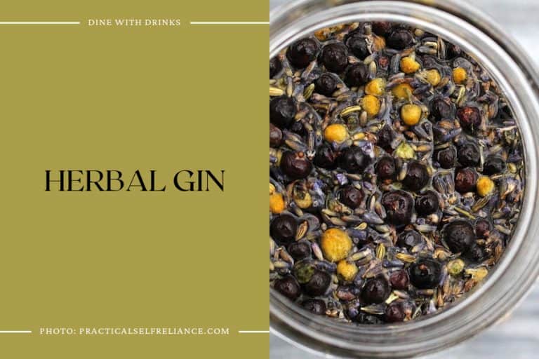 22 Infused Gin Cocktails to Shake Up Your World! | DineWithDrinks