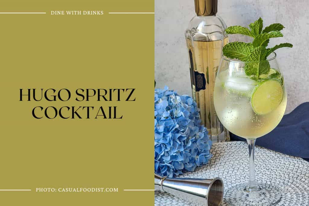 32 Summer Spritz Cocktails to Quench Your Thirst in Style! | DineWithDrinks