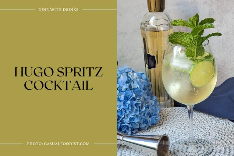 32 Summer Spritz Cocktails to Quench Your Thirst in Style! | DineWithDrinks