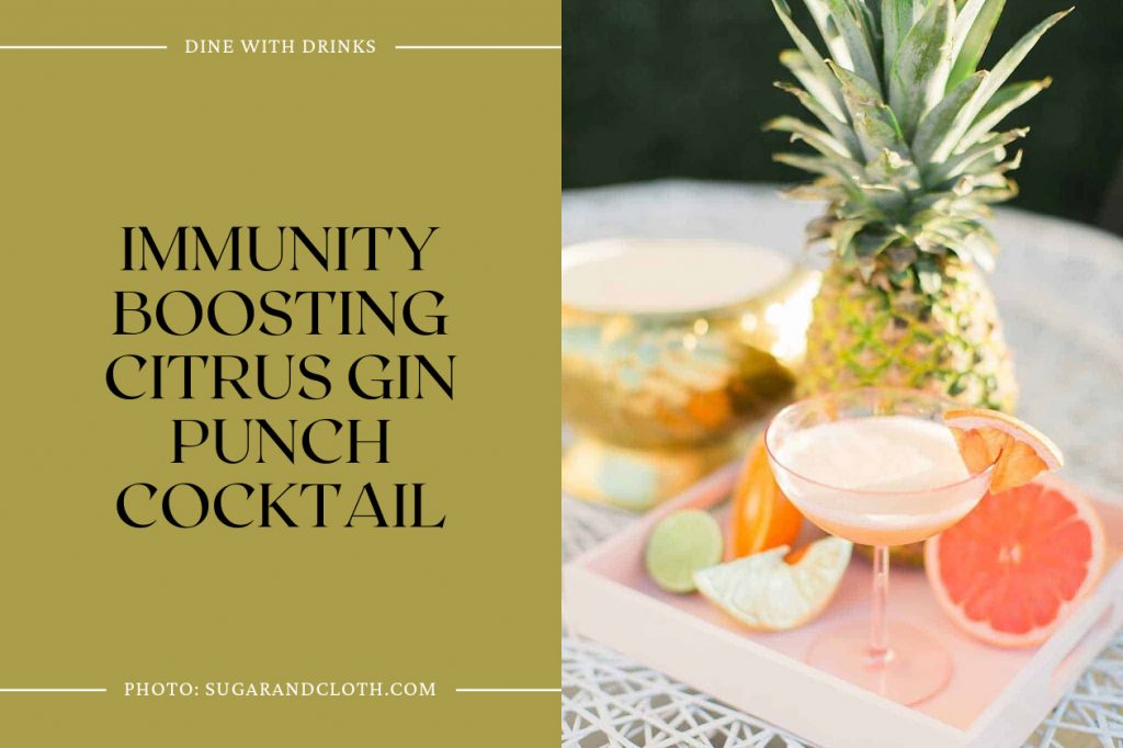 29 Summer Citrus Cocktails to Sip on a Sunny Day! | DineWithDrinks