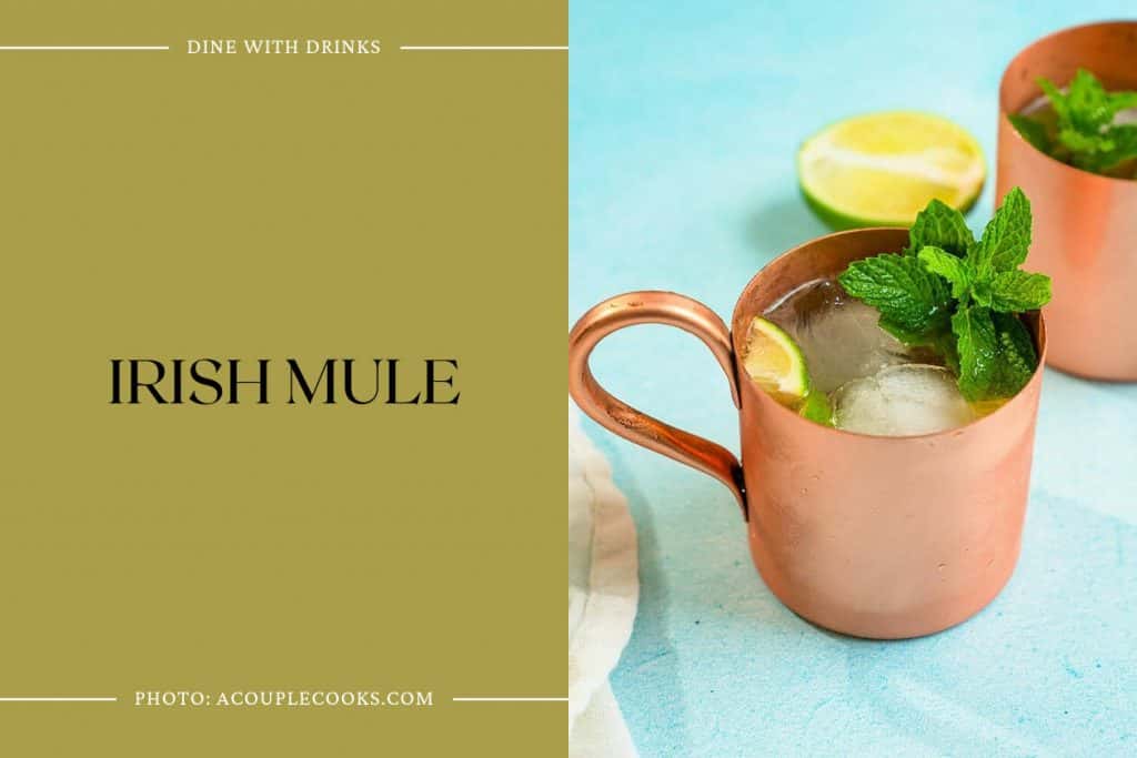 12 Irish Whiskey Cocktails to Get Your Craic On! | DineWithDrinks